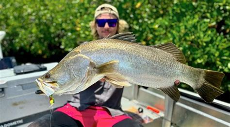 Crabba Danielcolombini With A Cracker 81cm Facebook