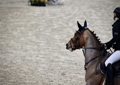 Amy Tan En Laura Metelmann Winnen Jm Indoor Masters Torhout Equnews