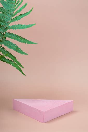 고사리 클로즈업으로 베이지 색 배경에 화장품과 다양한 제품을 전시하기위한 삼각형 연단 세로 형식 0명에 대한 스톡 사진 및 기타 이미지 Istock