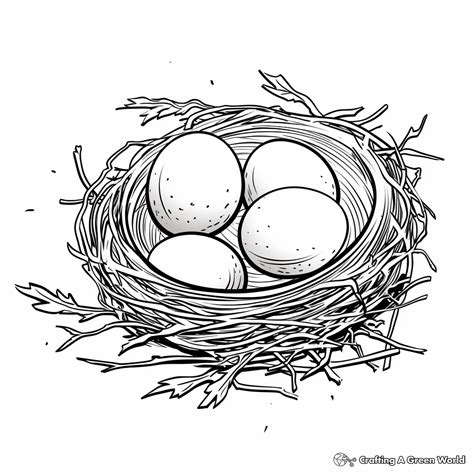 Bird Nest Coloring Pages Free And Printable