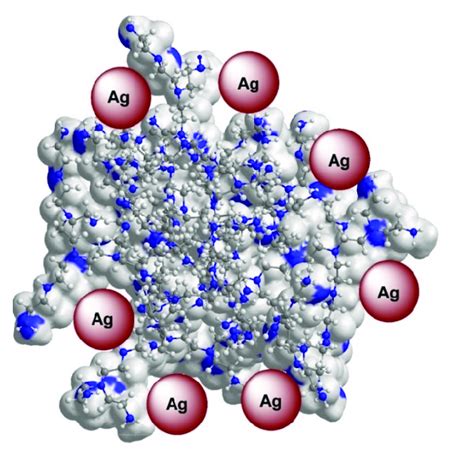 Schematic Representation Of Ag Nps Nucleation Inside The Cavities Of Download Scientific