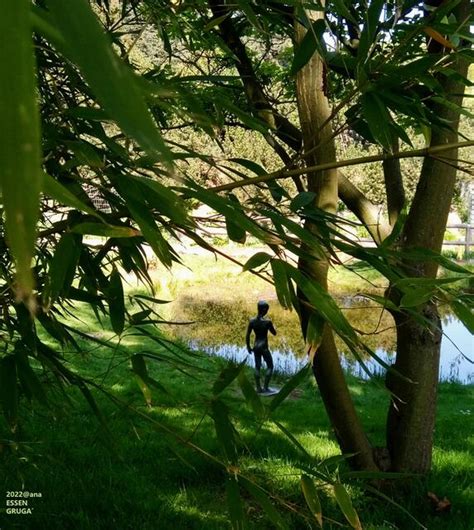 Skulpturen Figuren Kunst Heimat Der Knabe Und Der Fisch Essen