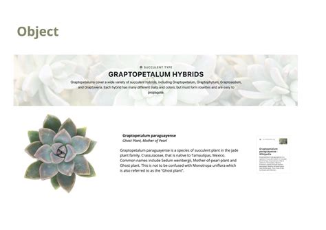 Succulent Photogrammetry 3d Printing 7 Steps Instructables