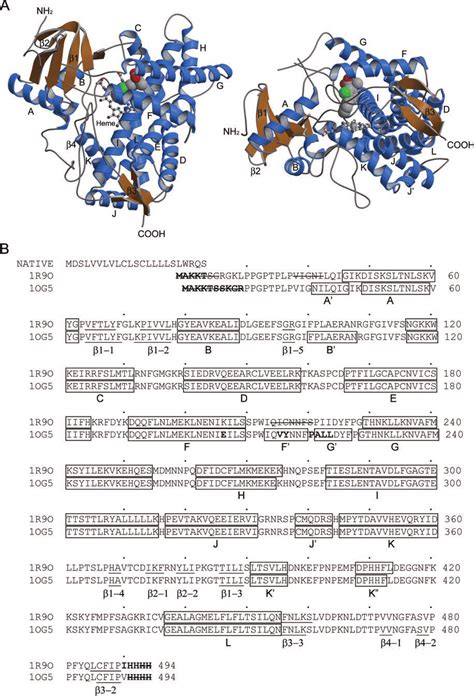 A Two Views Depicting The Structure Of Flurbiprofen Complexed With