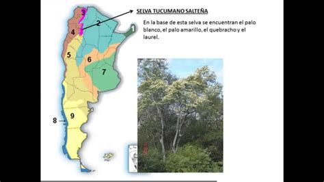 Cuales Son Los Biomas De Argentina Cuales Son Sus Caracteristicas Images