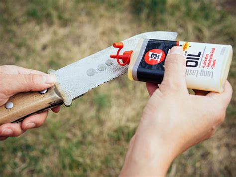 The Best Way To Remove Rust From ToolsNo Scrubbing Required Garden Betty