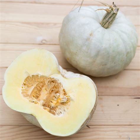 Heirloom Valenciano Maxima Squash Organic Seeds Association Kokopelli