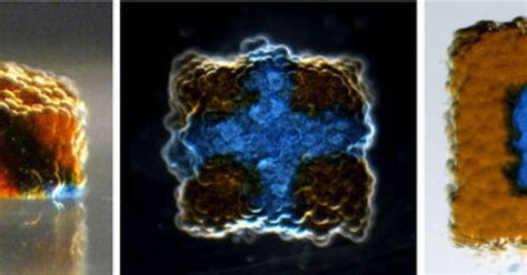 Future Of Organs Synthetic Tissue Built With 3 D Printer Rscience
