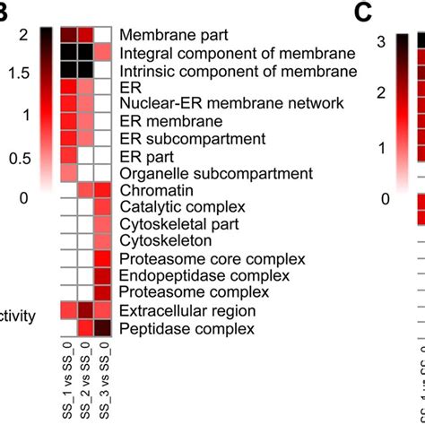 Scatter Plot Of Gene Ontology Go Enrichment Statistics For