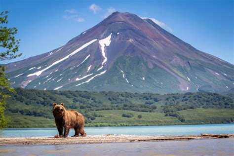 Kamchatka Bilder Bläddra Bland 42 927 Stockfoton Vektorer Och Videor