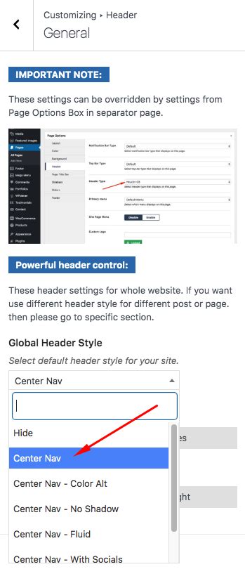 How To Set The Default Header Style MaxCoach Documentation