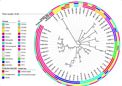 Cluster Of St Types Based On Mlst Analysis And Serotypes Of 53