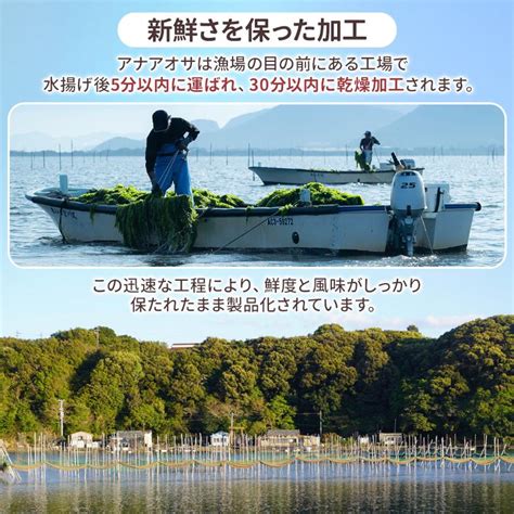 国産アオサ粉 2 3mm 50g 天然の海藻 アナアオサ 主産地愛知県三河湾産 磯の香りの風味と旨味 05 NICHIGA ニチガ