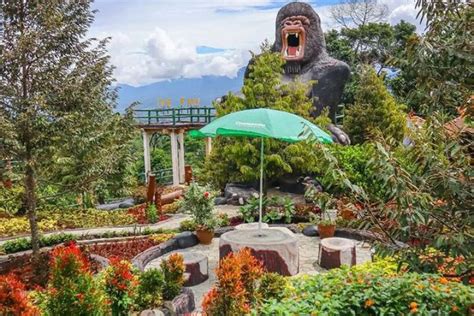 The Farm Pancawati Bogor Tempat Wisata Untuk Liburan Keluarga Yang