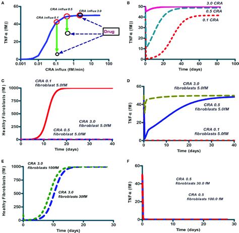 The Effect On Steady State Tnf Levels And Number Of Healthy