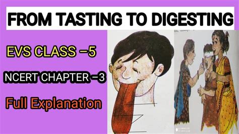 From Tasting To Digesting Evs Class 5 Ncert Chapter 3 Full