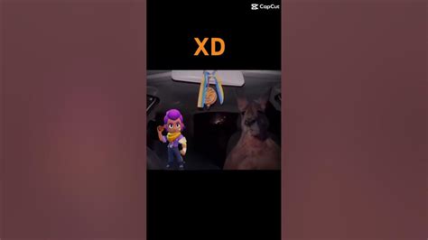 Xd Youtube