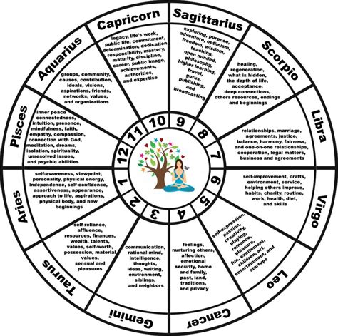 Whole House Chart Astrology Unfolding The Houses Of Your Birth Chart