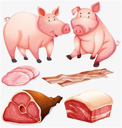 รูปการ์ตูนหมูและหมูแฮม Png การ์ตูนเวกเตอร์ เวกเตอร์หมู คลิปหมูภาพ
