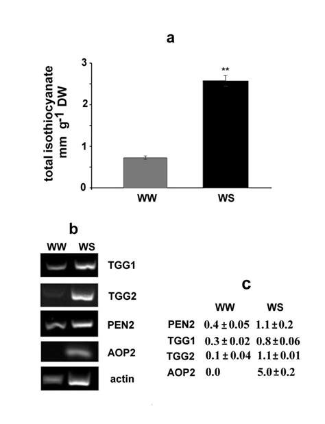 Total Chlorophyll A Total B δ C γ Tocopherol D Trans Hexenal Download Scientific