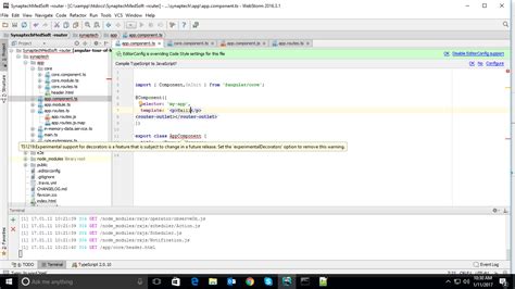 Angular Experimental Decorator Warning In Angular2 Stack Overflow