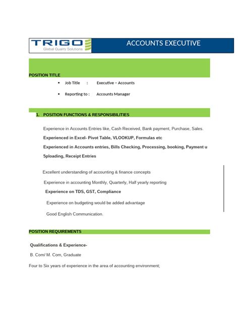 Accounts Executive 1 Pdf