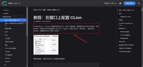 Clion Cs