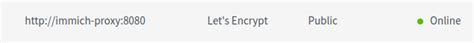 Feature Reverse Proxy Documentation And Examples Npm Etc · Immich