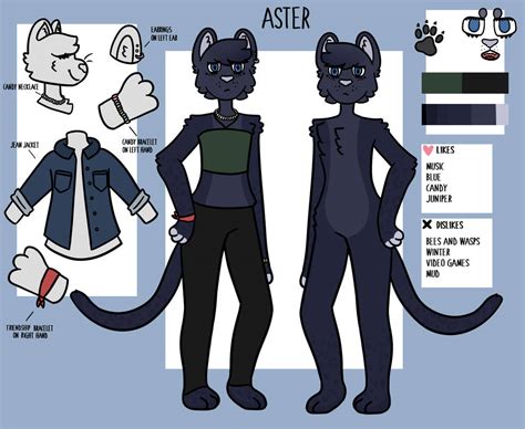 Aster Reference Sheet By Dillpickle9559 On Deviantart