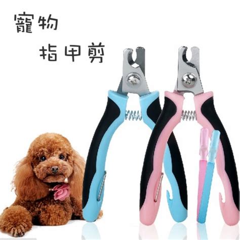 台南幼犬買賣高雄台中寵物店 汪汪歡樂營 台南犬舍