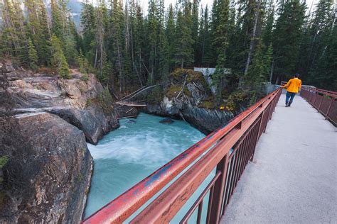 How To Visit NATURAL BRIDGE In YOHO NATIONAL PARK Seeing The Elephant