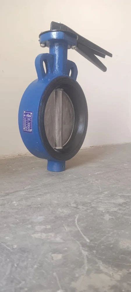 Cast Iron CI Butterfly Valve 100 Mm Latest Price Manufacturers