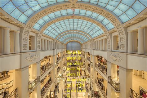 Tu Es L Myowndocumenta