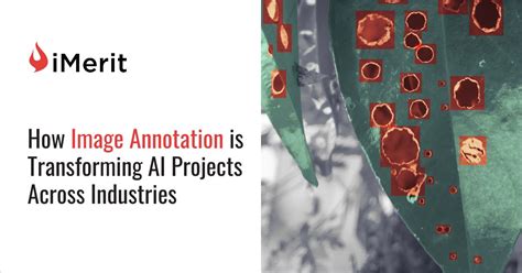 How Image Annotation Is Transforming Ai Projects Across Industries Imerit