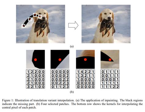 Shepard Convolutional Neural Networks