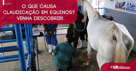 Curso de Diagnóstico de Claudicação em Equinos CPT Cursos Presenciais