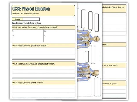 Gcse Pe Skeletal System 1 1 Teaching Resources