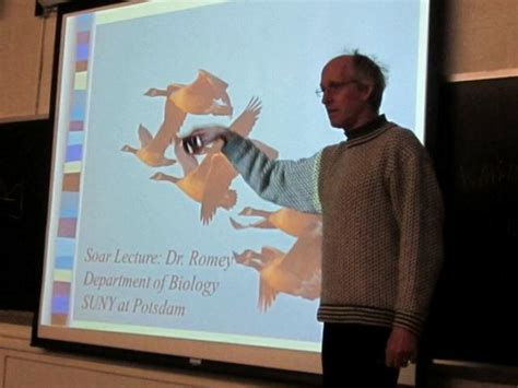 Flocks Schools Swarms Course Detail Spring 2013 Soar North Country