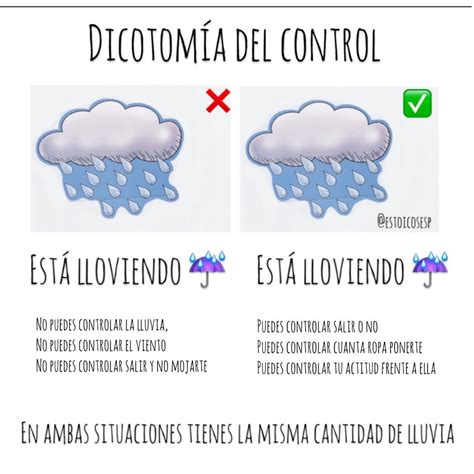 La DicotomÍa De Control ¿qué Está Bajo Tú Control Diario Estoico