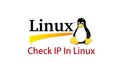 How To Configuration And Remove Git Proxy Settings A Step By Step Guide