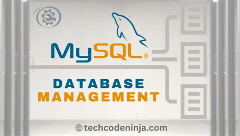 impressive mysql database management in 2024