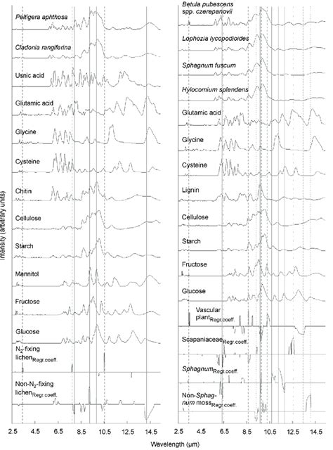 Cryptogam Vascular Plant And Reference Spectra And Regression Download Scientific Diagram