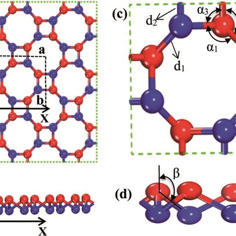 Phonon Band Structure Of The S O Bismuth Monolayer A And β Bismuth