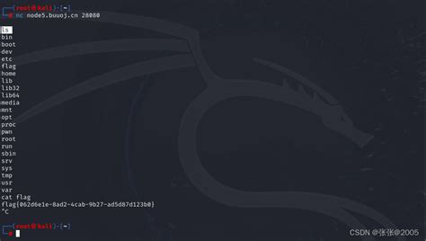 pwn（一）前置技能 pwncli csdn博客