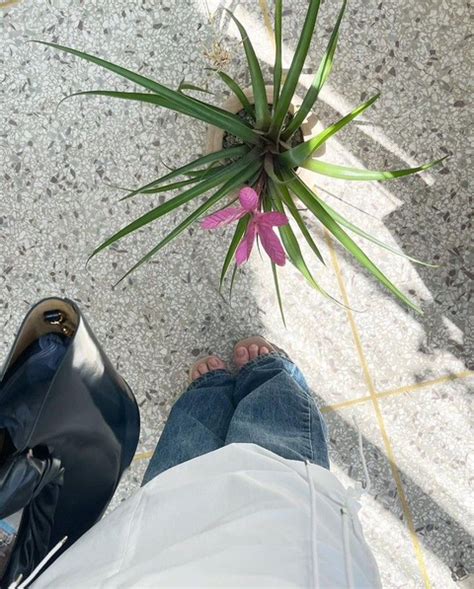 요즘 유행하는 식물 감성 유머 재미 감동 네모판