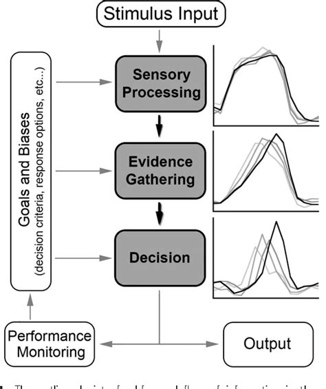 Figure 1 From High Quality But Limited Quantity Perceptual Evidence