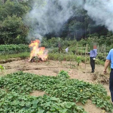 焚烧秸秆，浦江又有人被罚了！污染执法人员露天