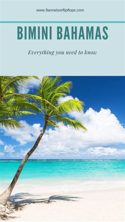 Bimini Bahamas Everything You Need To Know Artofit