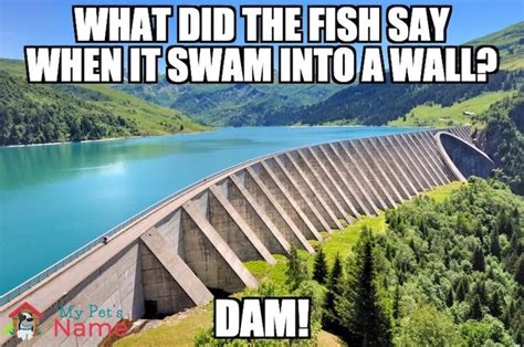Talking Fish Meme