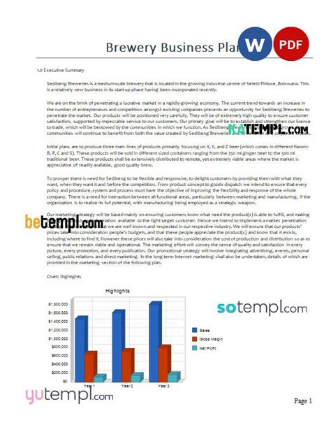 Computer Programming Business Plan Template In Word And Pdf Formats By Betemplbe Medium